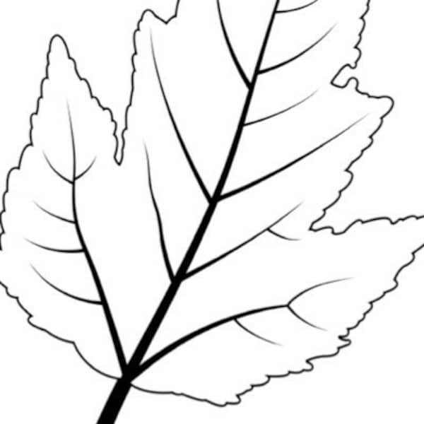 Strata Garnet Digital Paper and Border Overlays With Gold Foil ...