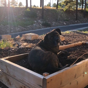 Box Full of Rocks, Mexican Beach Pebbles, Mixed Color Rocks, Landscape ...