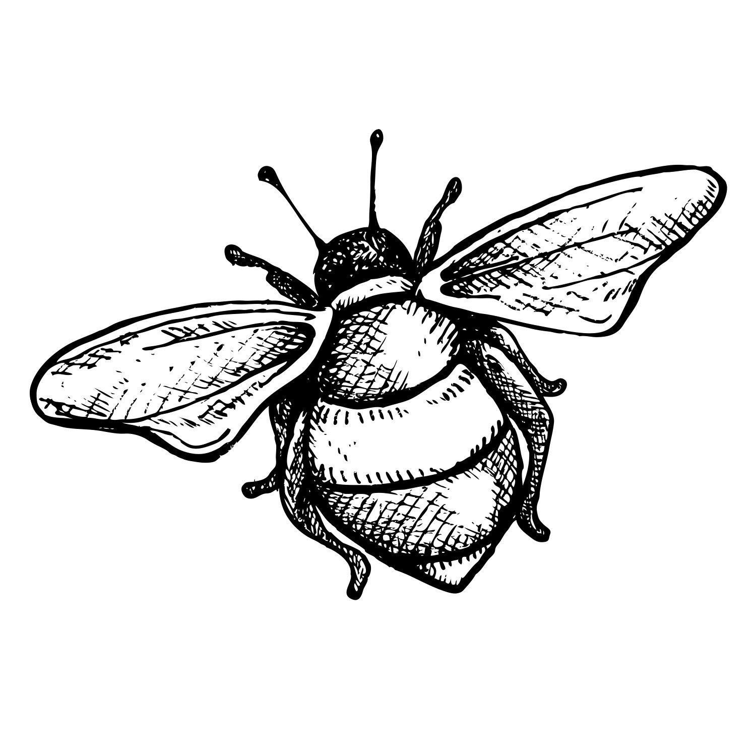 BlessedBeeBaby - Etsy