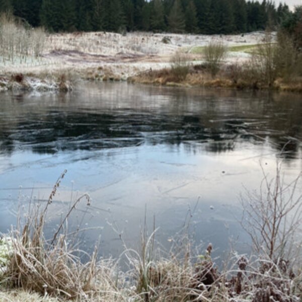 Santa's Hat 2 FSL Earrings / Embroidery Design / Earrings DIY - Etsy