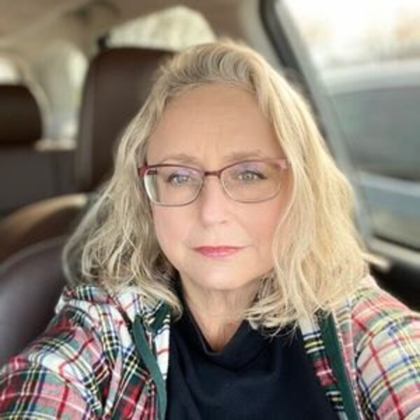 Hurricane Winds Blowing Palm Tree Bending Tropical Storm Impacts View ...