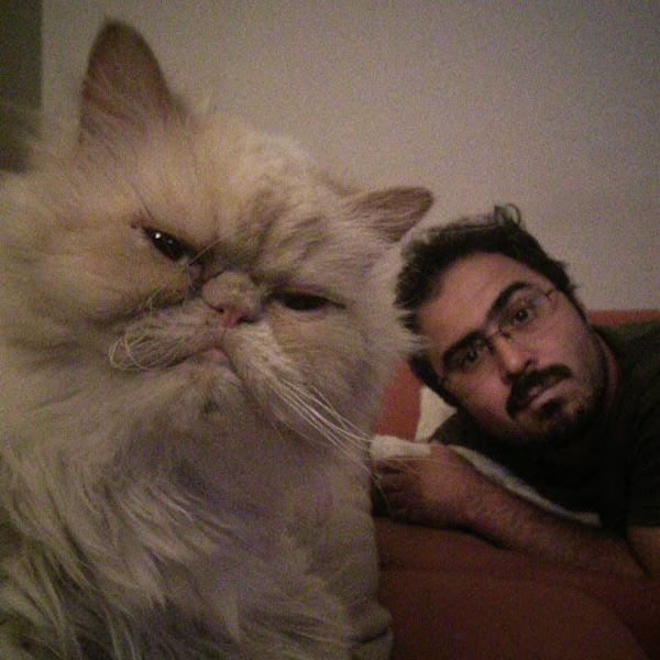 Fidel Catstro Fidel Castro as a Cat Print - Etsy