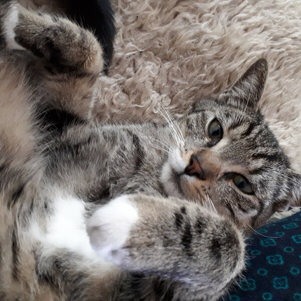 Vintage Matte Oil Painting Poster, Printed Oil Painting Art Poster ...