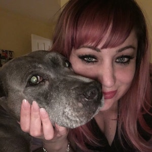 Genuine Python Skin Wallet Money Wallet Genuine Leather Big Unisex ...