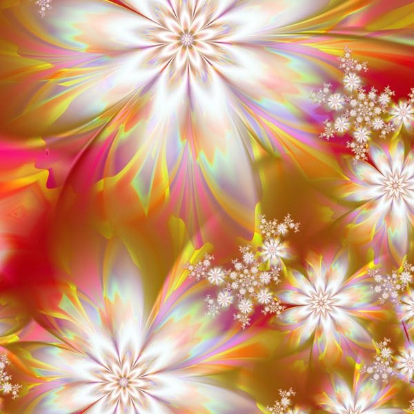 Cat Express Cardboard Cat House - Etsy