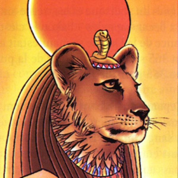 Women's White Clogs Made in Italy Heel 13 K9101 BIANCO - Etsy