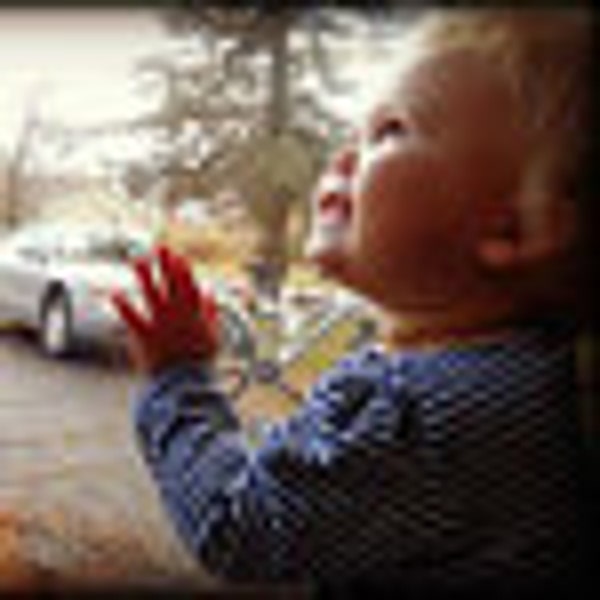 Extra Large PDF Full Size Rose 6 Template 30-34 inches Rose when made ...