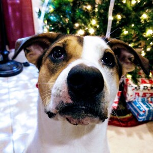 Antique Tile Quilt Block Pattern // Learn to Quilt // Quilting for ...