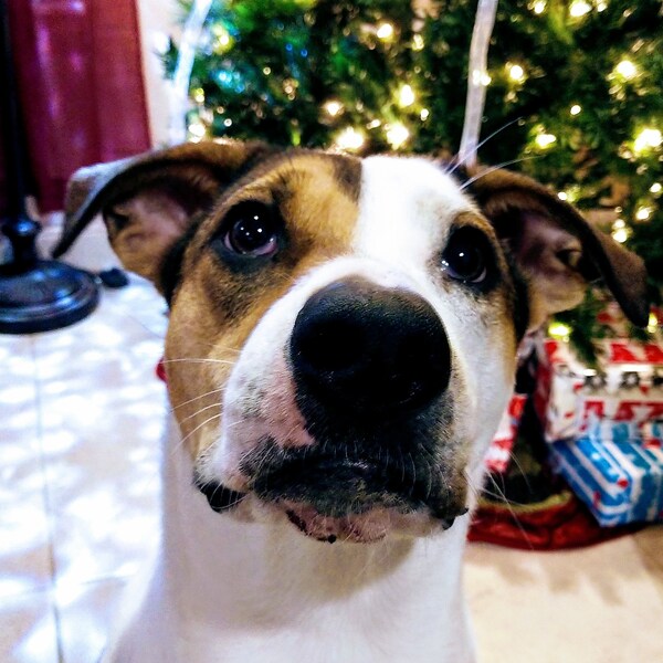 Antique Tile Quilt Block Pattern // Learn to Quilt // Quilting for ...