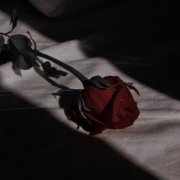 Vampire Bite Necklace / Black Velvet Choker / Halloween Necklace ...