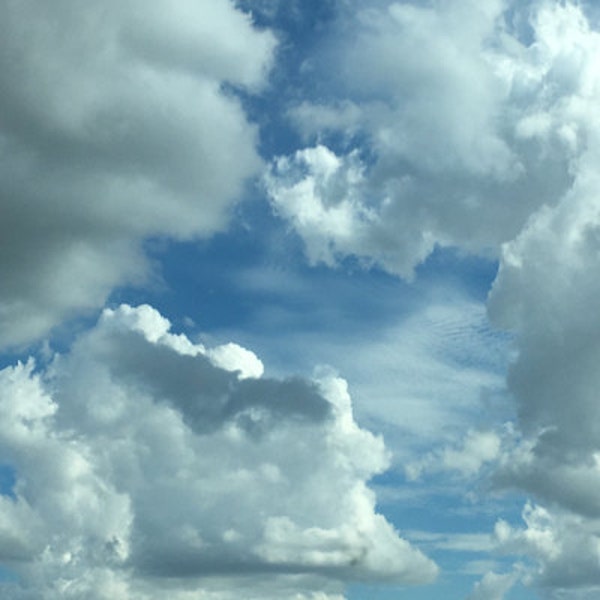 Kawaii Fruit Food Clipart Pack Commercial Use, Vector Images, Digital ...