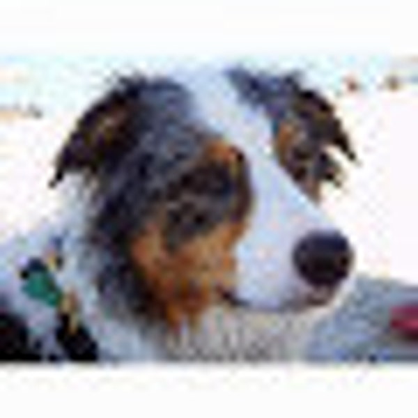 Practical Project Bags Pattern in 3 Sizes - Etsy