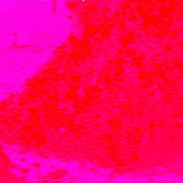 Disappointed but Not Surprised Holographic Vinyl Sticker, Y2K Aesthetic ...