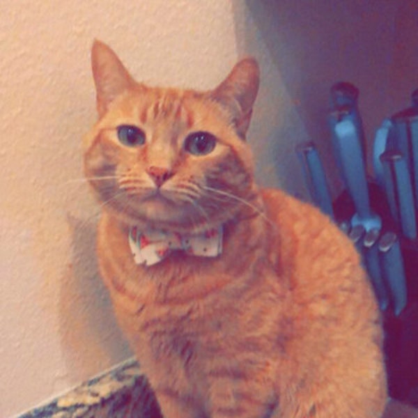 IVF Watercolor Art Medical Art Print Doctor Wall Art OBGYN Decor ...