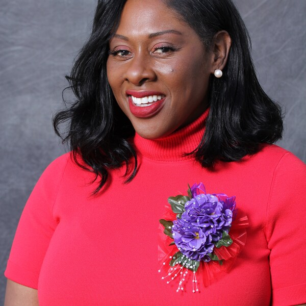 Delta Sigma Theta Chenille 44.5 Greek Letters - Etsy