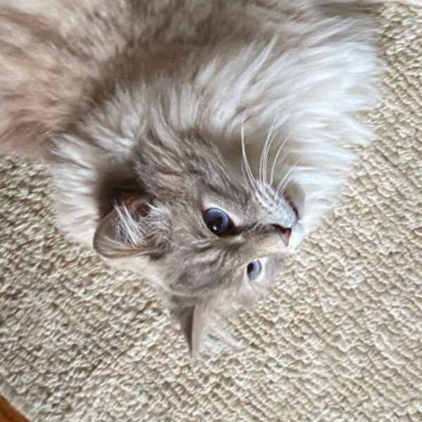 Kidcore Bucket Hat Women Funny Bucket Hat Embroidered Hat Decora Cute ...