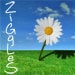 ziggles - Etsy