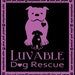 LuvableDogRescueShop | Etsy