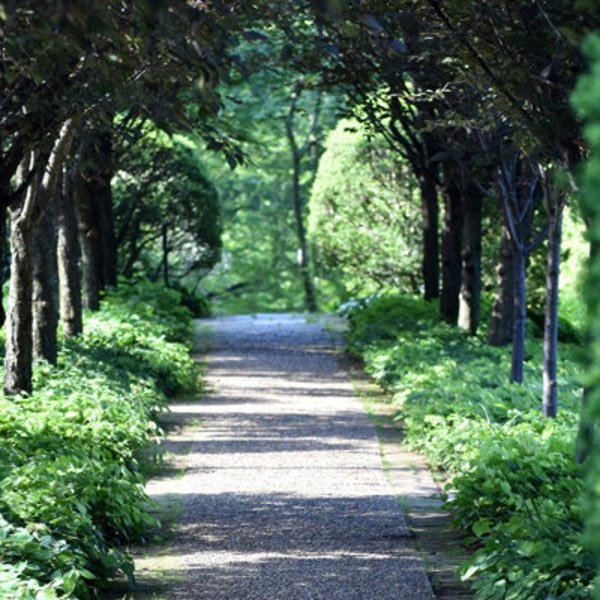 Ultimate All in One Digital Planner 2024 Good Notes Planner, Notability ...