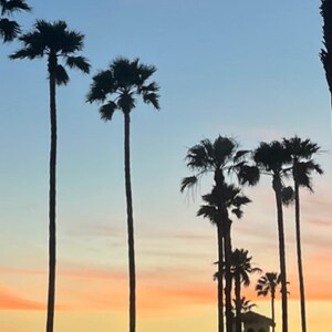 Probate Intake Form Questionnaire attorney Form - Etsy