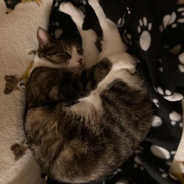 Flower Box Easel Wedding Birthday Christening Welcome Sign - Etsy