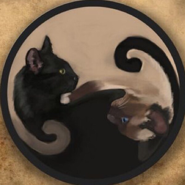 Dinocardz Factory Sealed 80 Card Set Series 1 Authentic Dinosaur ...