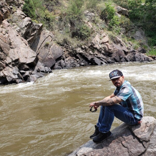 Gomti Chakra Rudraksh Tree shiva Eye Tree of Life for Protection for ...