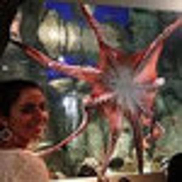 Fall Pumpkin Themed Printable Bulletin Board Set or Door Decor for ...