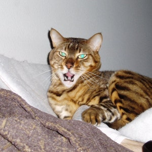 Hollywood Teacher Appreciation Week Itinerary Flyer Movie Theme You're ...