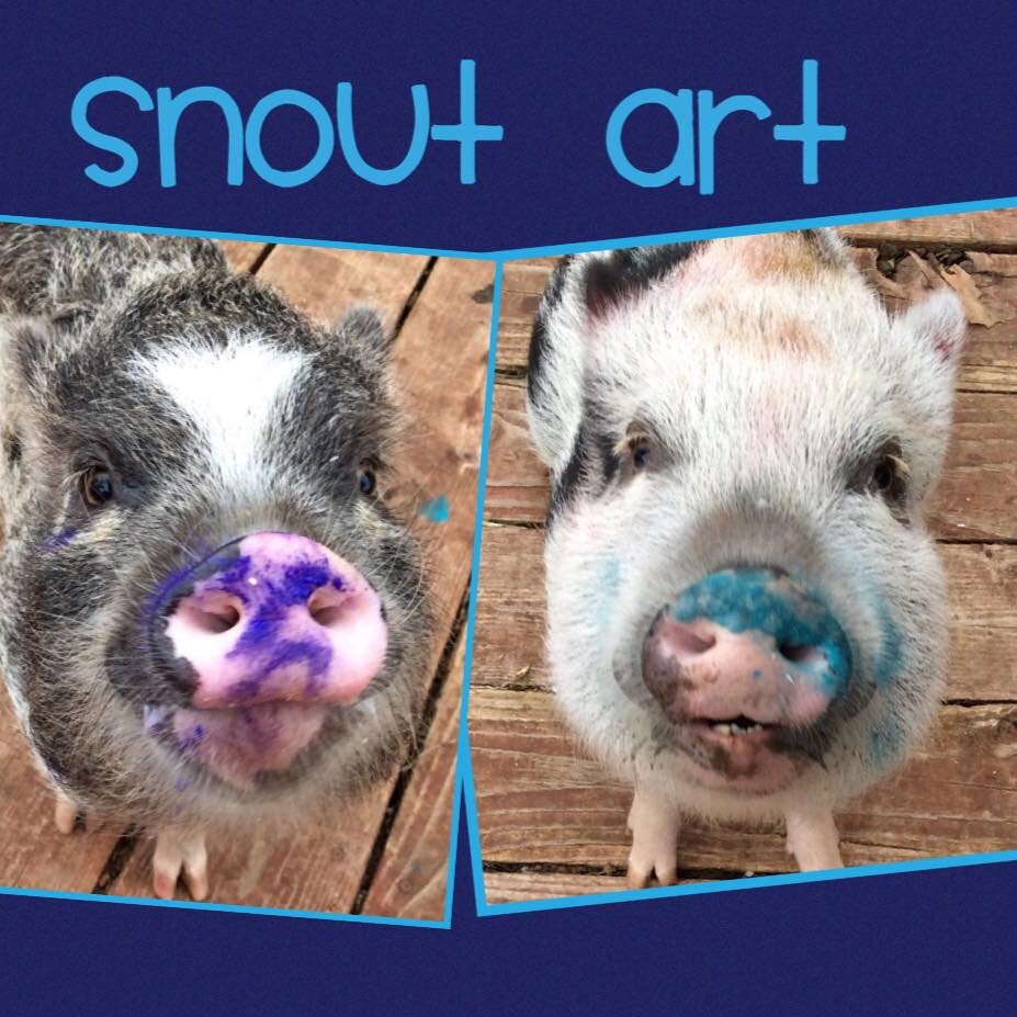 SnoutART - Etsy