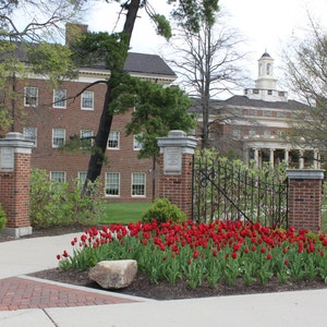 Fairy Door and Windows for Trees Glow in the Dark Fairy Tree Door Fairy ...