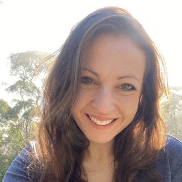 Life Cycle of a Pine Tree Evergreen Coniferous Montessori Science ...