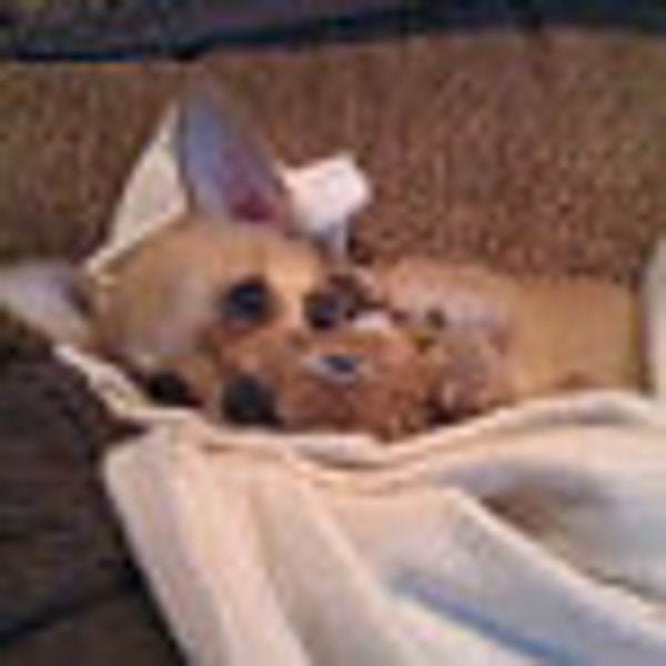 Printable Alphabet Banner Letters and Numbers, Dinosaur Banner ...