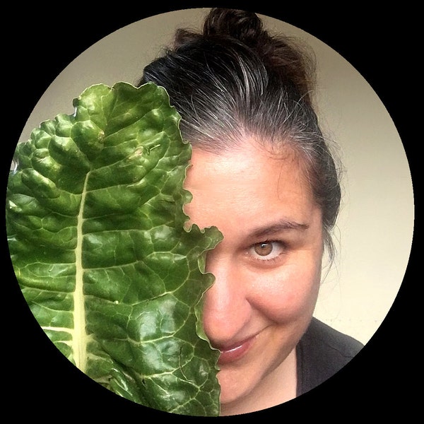 20 HOLE Hanging File Thread Organizer, 1/8 Thick Acrylic, for DMC ...