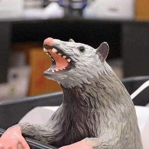 Editable Back to School Procedures Template, CANVA Personalised ...