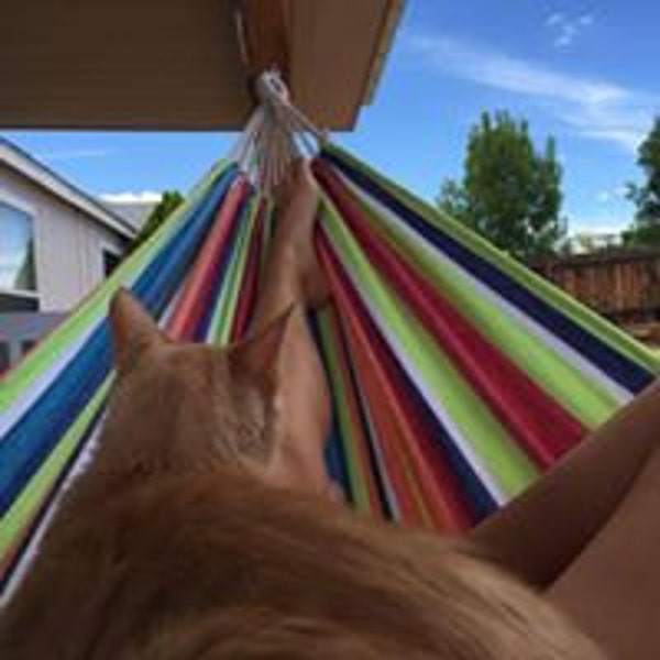 End of Year Bulletin Board Poster Display Axolotl Spring Decor Posters ...