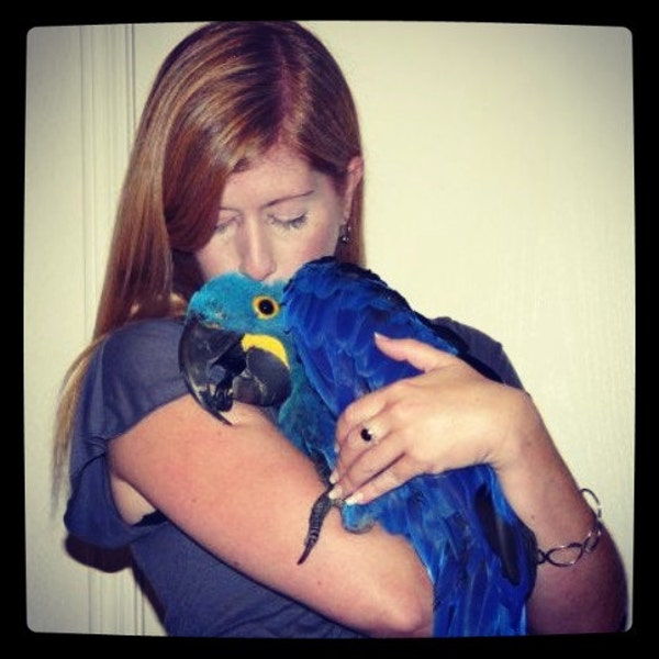 Postcard mirror Mirror Emotions Happy White Sad Black - Etsy