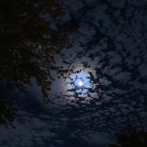 Family Tree Editable Photo Poster With 5 Generations Anniversary Gift ...