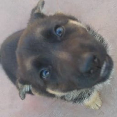 Jenny Negrete's favorite items - Etsy