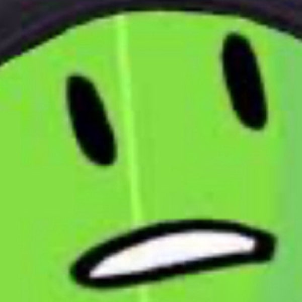 Bfdi Battle for Dream Island Pencil Pouch - Etsy