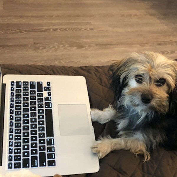 Clueless Keychain Wristlet Clueless Gifts Cher Clueless Birthday ...