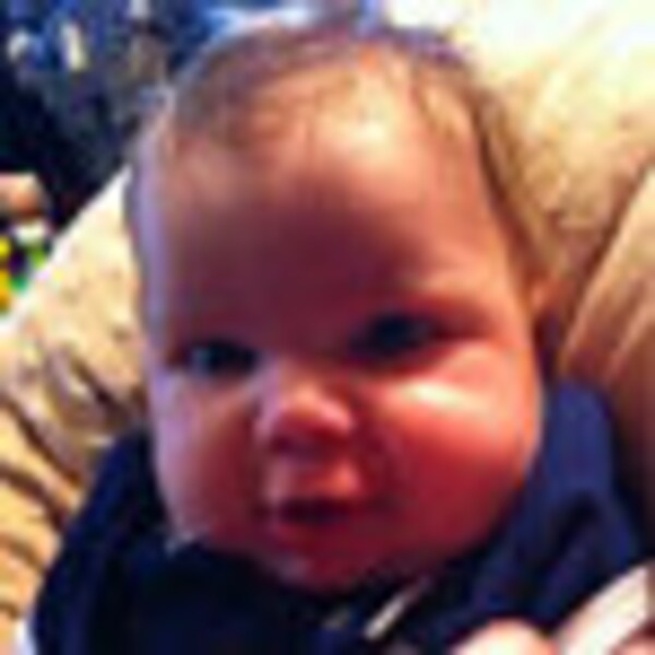 EDITABLE Printable Pug Valentine Cards, Classroom Valentines Day Cards ...