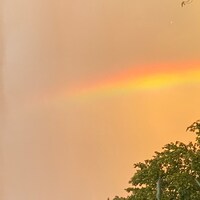 The Large Atso Puppet From Youtube Movie. - Etsy