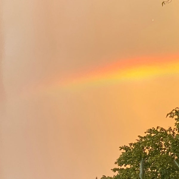 The Large Atso Puppet From Youtube Movie. - Etsy