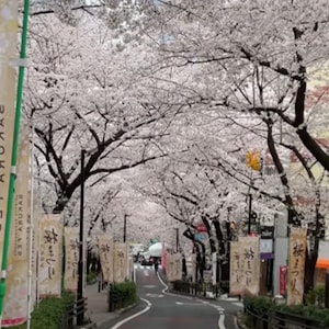 Genuine Finnish Army M65 Field Cap Finland Military Issue Surplus Wool ...