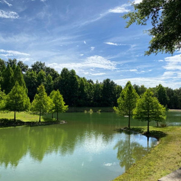 Weekly Check-in Couple's Meeting Workbook Printable - Etsy