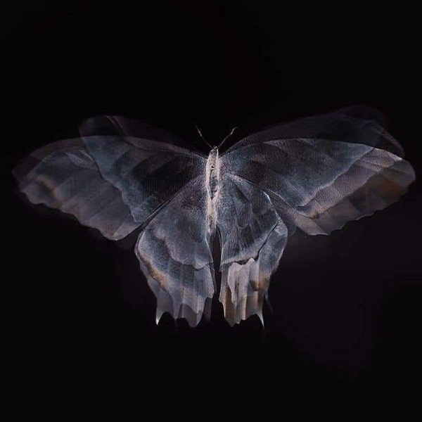 Akuma Raging Demon Shun Goku Satsu V1 Unisex T-shirt vectorized Design ...