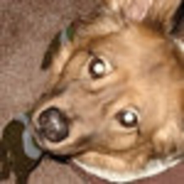 West Nile Charlotte Resin Bjd Mask - Etsy