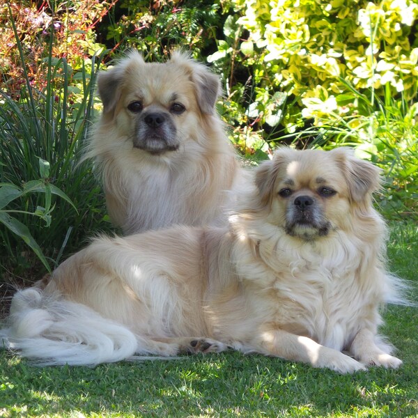 Sunglasses Watercolor Clipart, Summer Glasses Clip Art, Travel, Fashion ...