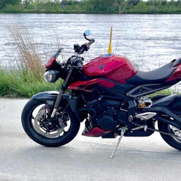 Pocket Aces Skull Svg , Poker Svg , Playing Cards Svg , Poker Cards Svg ...